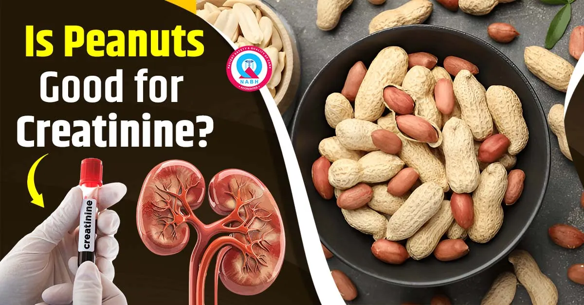 Is Peanuts Good for Creatinine? A Nutty Yet Healthy Kidney Talk!
