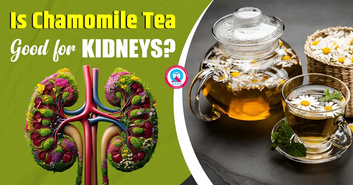 Is Chamomile Tea Good for Kidneys?