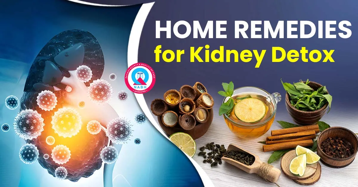 Home Remedies for Kidney Detox: Flush Out the Toxins Naturally!
