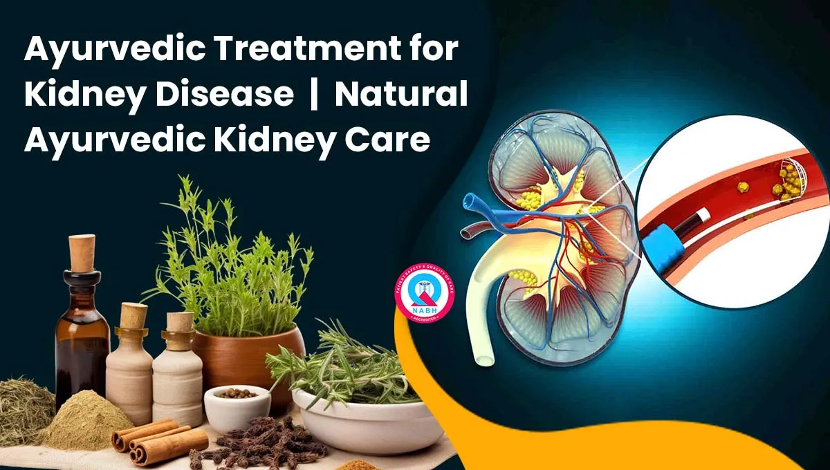 Ayurvedic Treatment for Kidney Disease | Natural Ayurvedic Kidney Care
