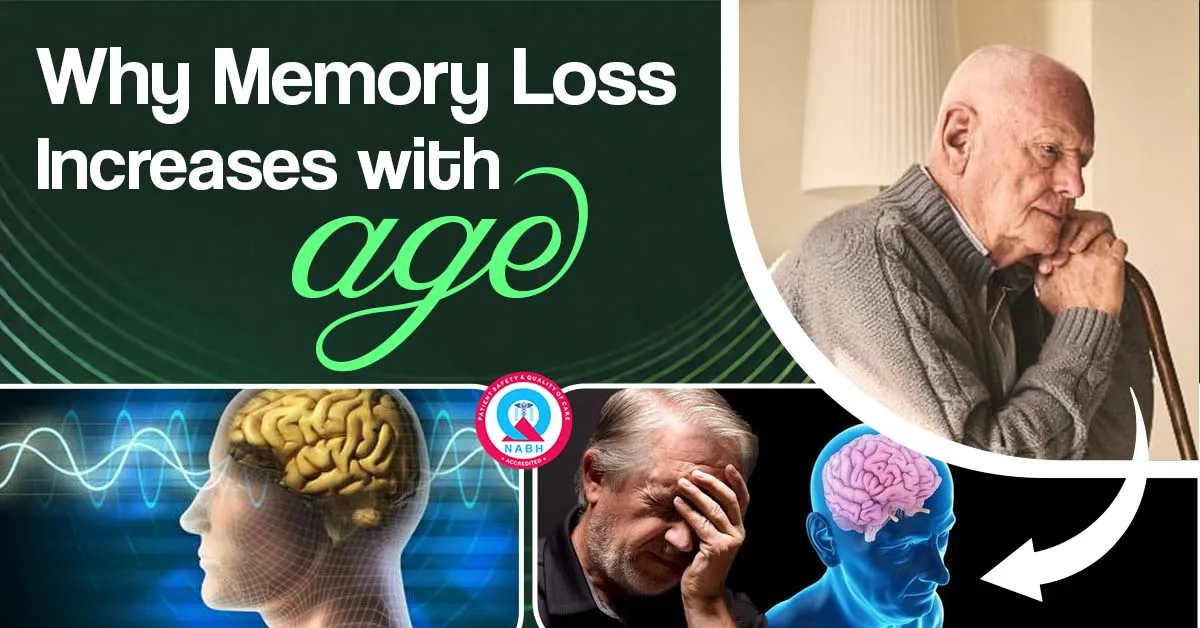 Why Memory Loss Increases with Age