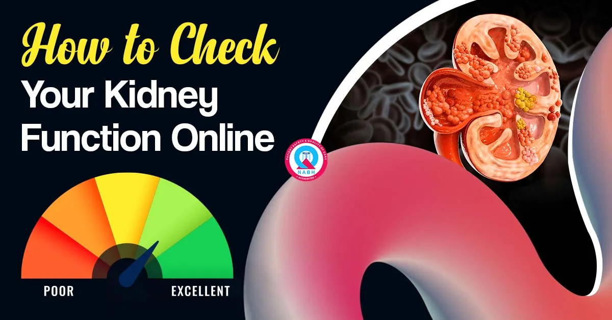 GFR Calculator: How to Check Your Kidney Function Online